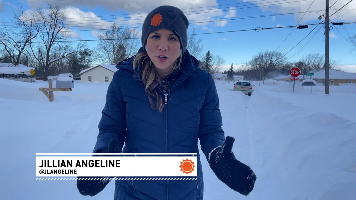 Resume – Jillian Angeline